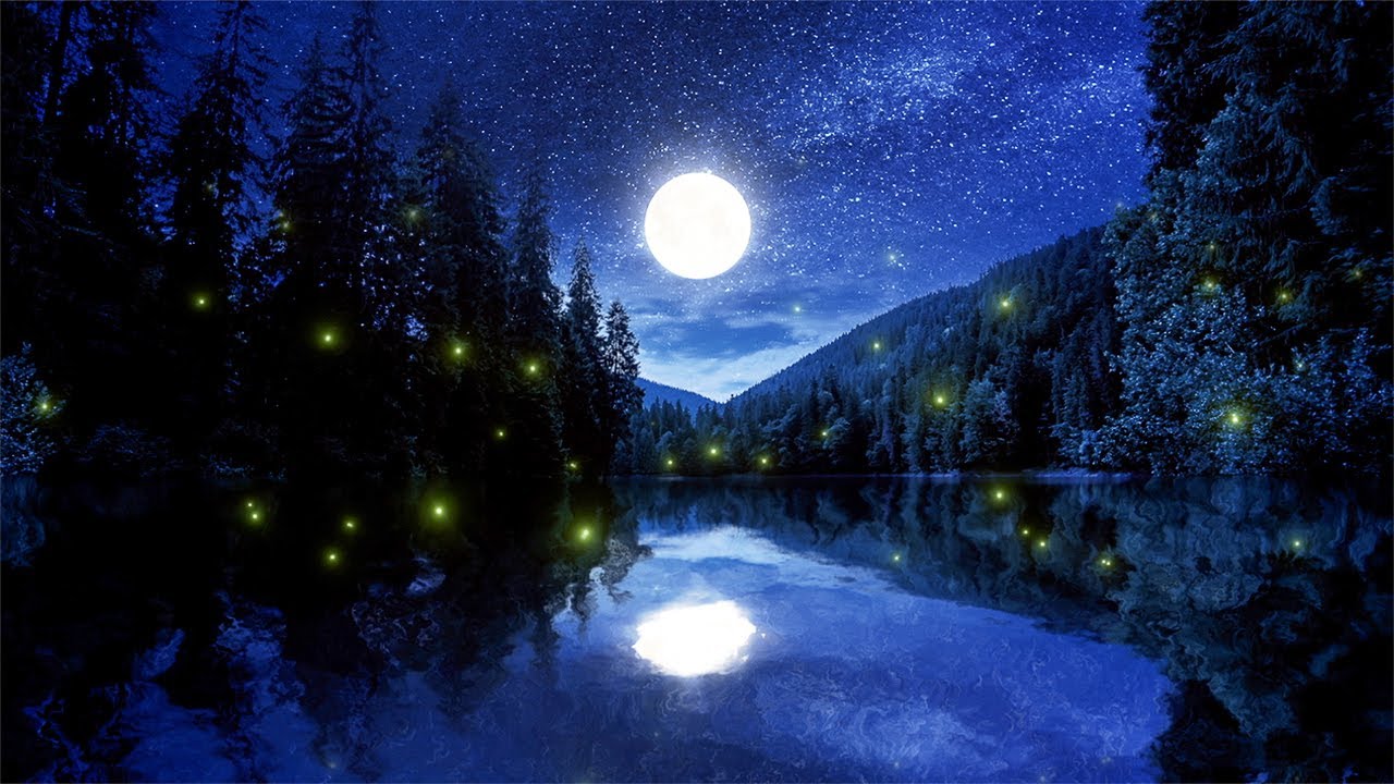 Relaxing Sleep Music and Night Nature Sounds: Soft Crickets, Beautiful ...