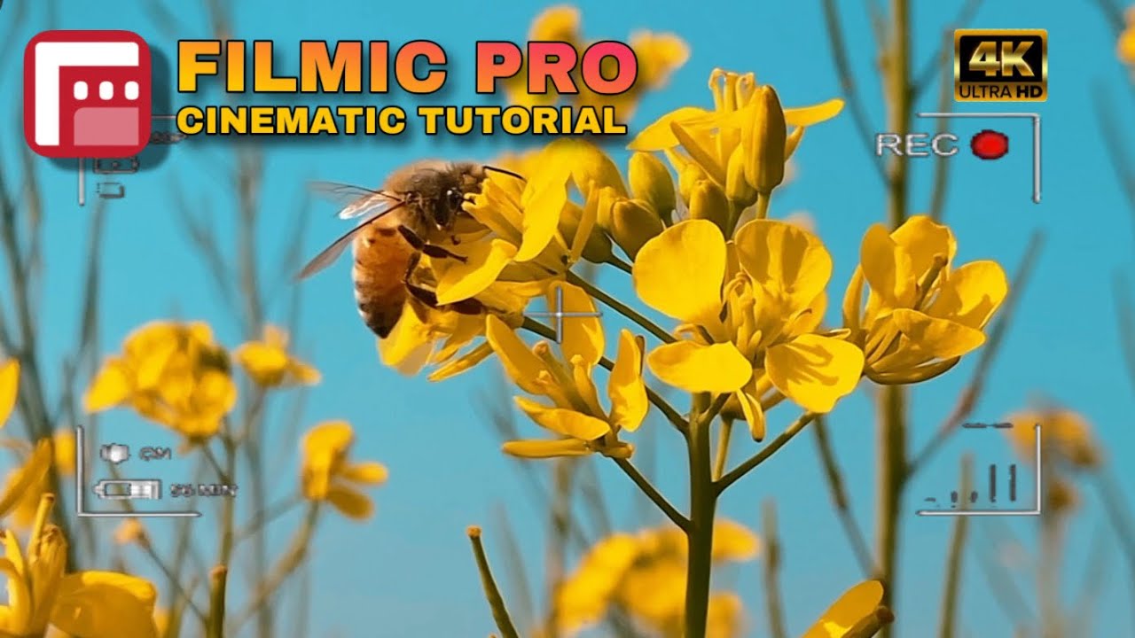 How to make Nature Cinematic Video with Mobile | Filmic Pro Cinematic ...
