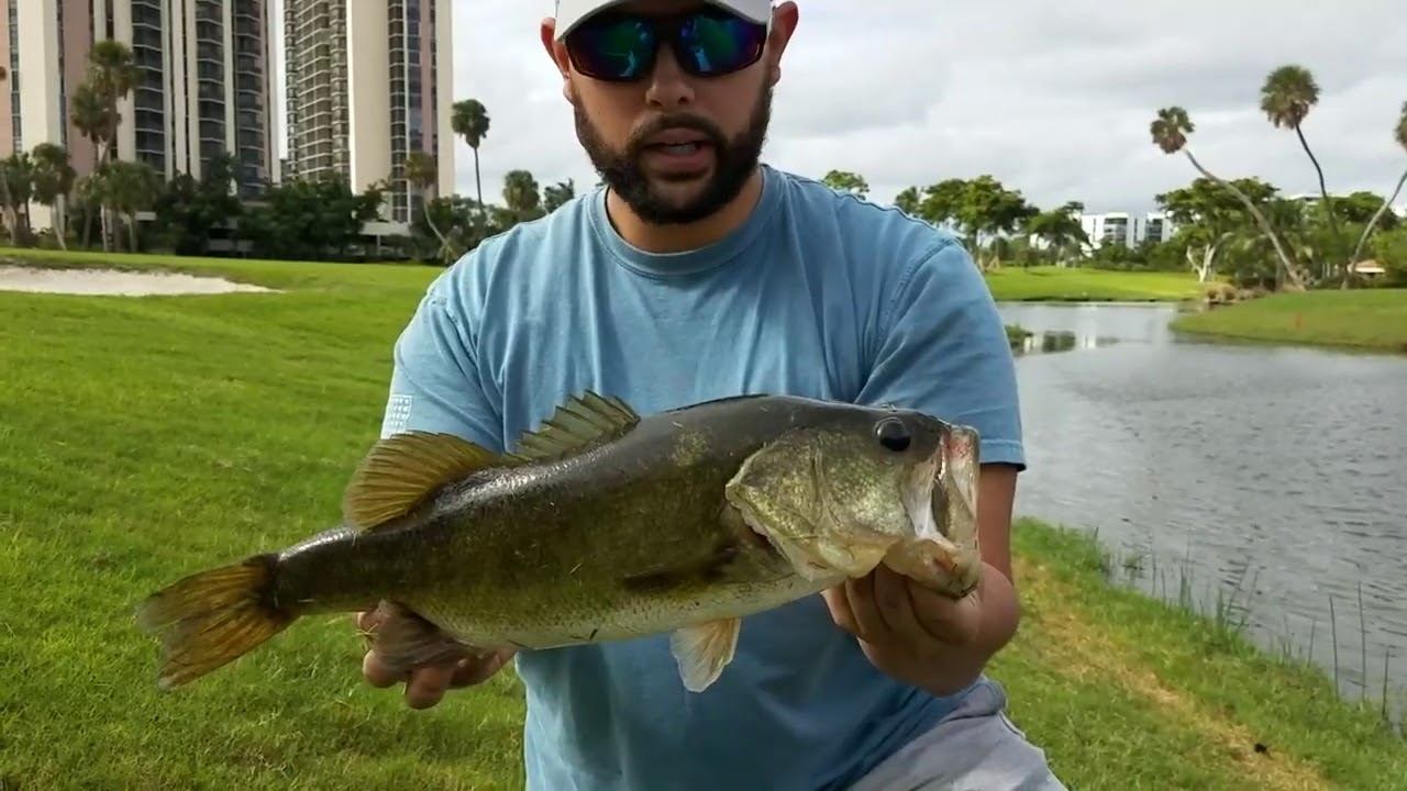CATCHING NEW PET BASS for OUTDOOR POND AQUARIUM - YouTube