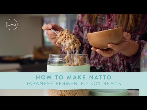 How to Make Natto | Japanese Fermented Soy Beans