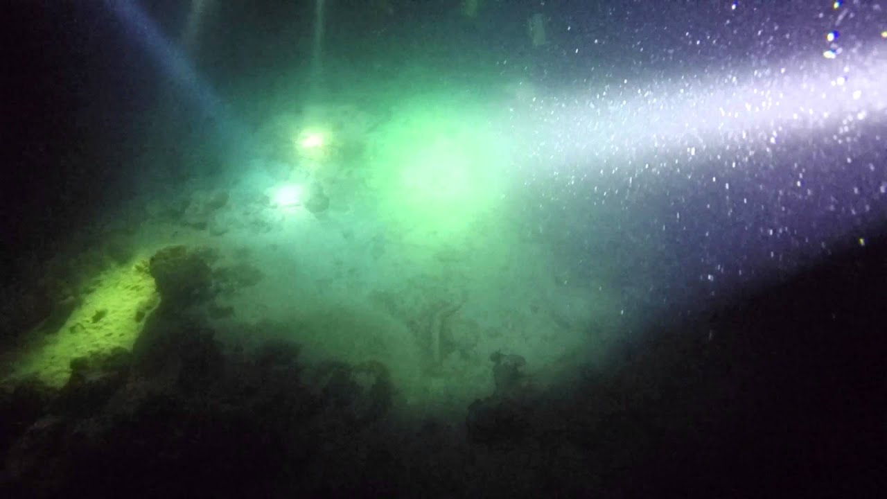 Archon v10s Scuba Night Dive by Mr.a - YouTube