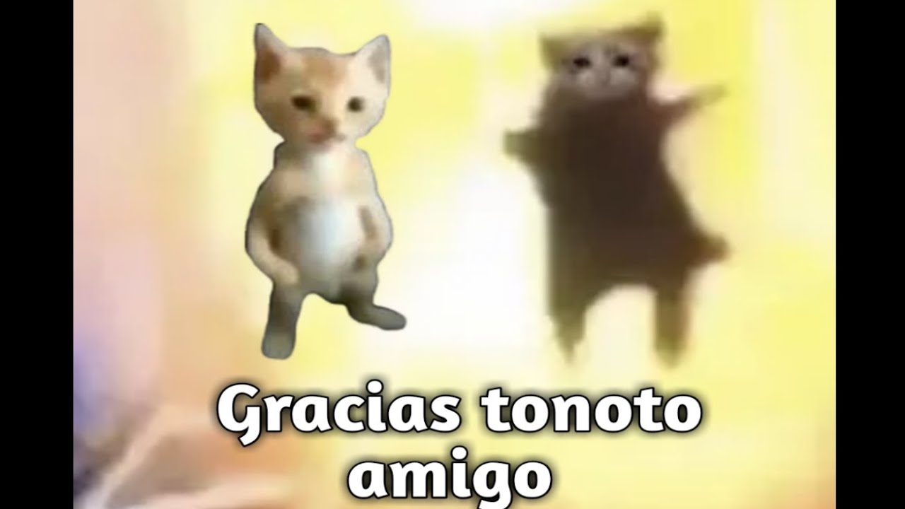 hola tonoto gracias mi amigo - YouTube
