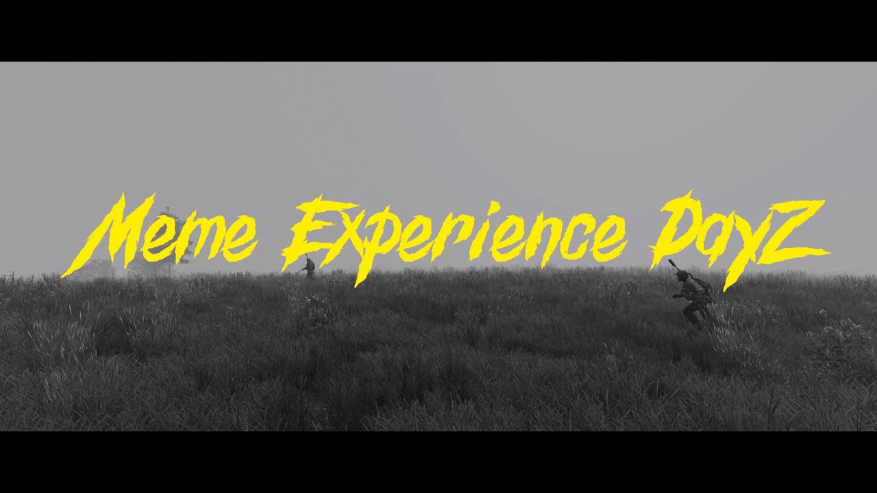 DayZ - Meme Experience #1 (Spaggie's servers) - YouTube
