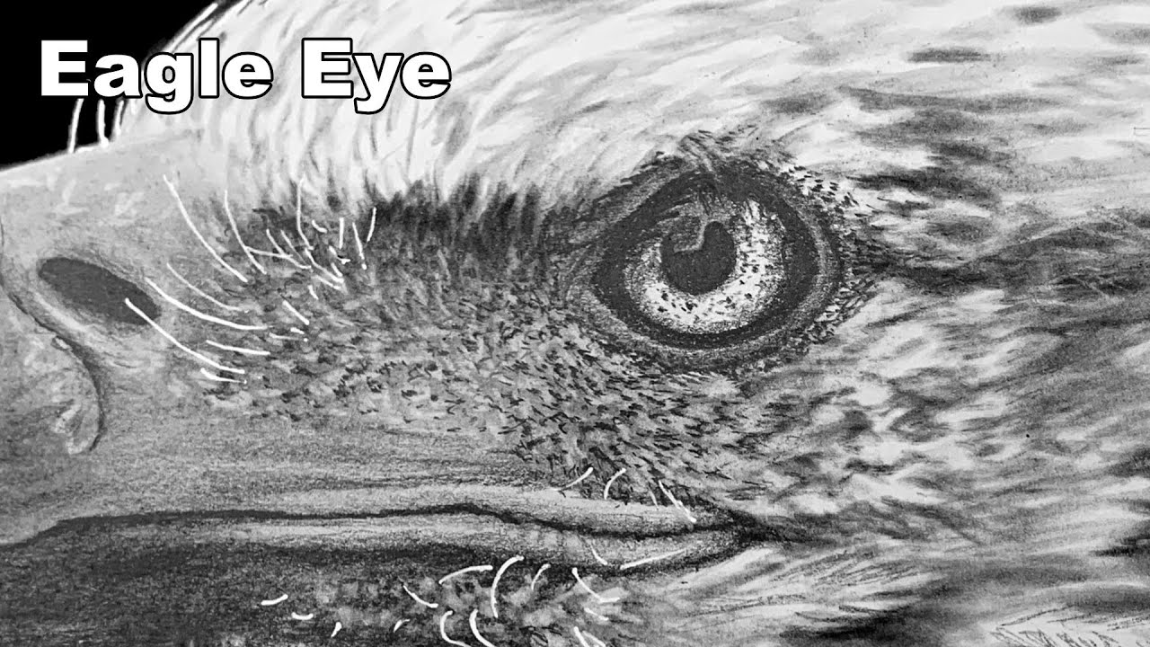 How to Draw a Bald Eagle - Eye - Hyper Realistic Sketch - YouTube