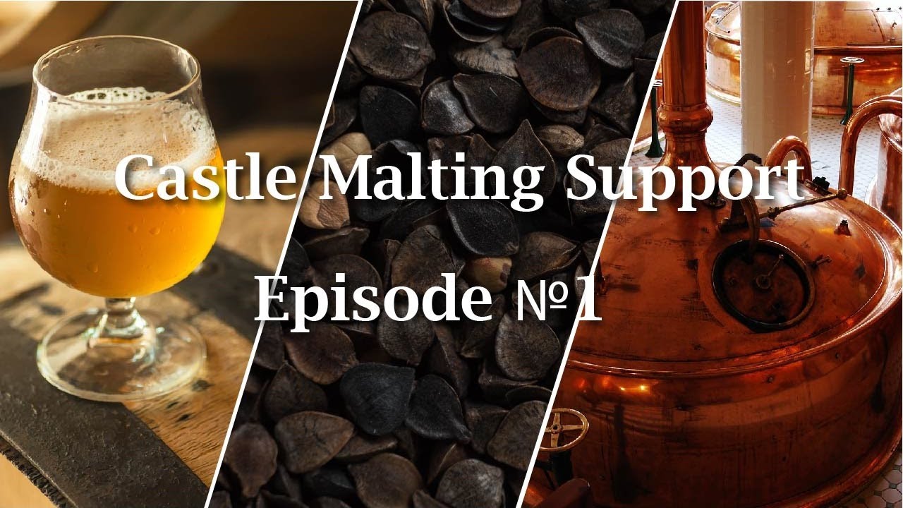 Answers to Your Queries - Malts and Fermentation | Castle Malting ...