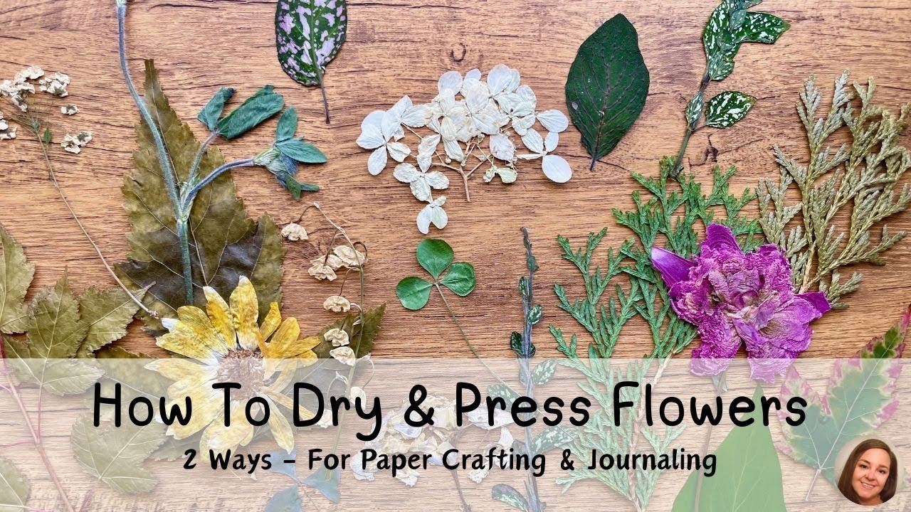 Two Ways to Dry Flowers for Paper Crafts - YouTube
