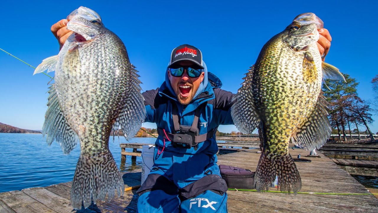 GIANT CRAPPIE Fishing MARINA DOCKS!! (MASSIVE) - YouTube