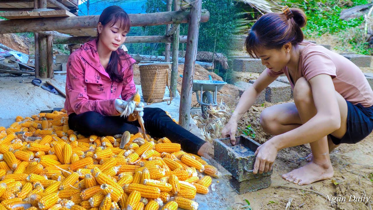 Harvesting Corn And Transferring All Homemade Bricks To Build A Pond ...