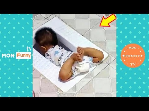 أطرف لحظات حياة الناس 😂😆 #13 | تحدي لا تضحك 😂😁 | أفضل تجميعة فشل مضحكة 2025