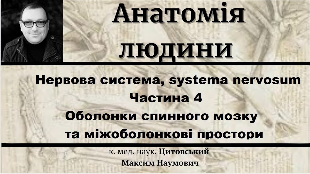 Нервова система, systema nervosum Частина 4 Оболонки спинного мозку та ...
