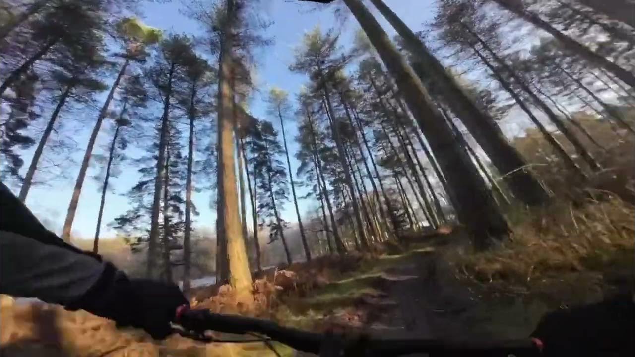 Cannock Chase - YouTube