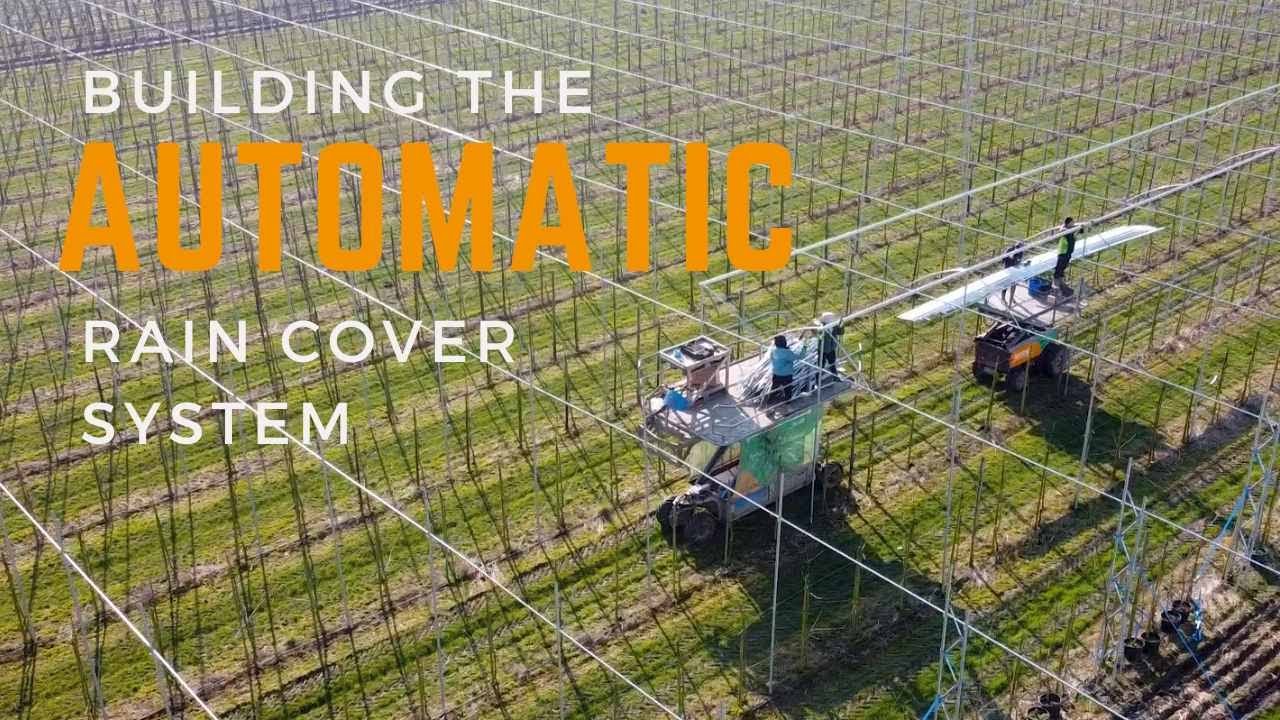 Automatic cherry cover system - FRUITSECURITY HOLLAND - YouTube