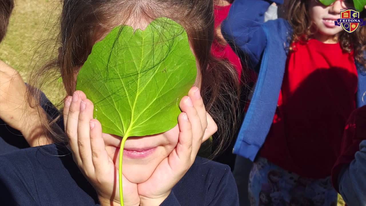 ΠΑΙΖΟΝΤΑΣ ΜΕ ΤΟ ΠΡΑΣΙΝΟ - YouTube