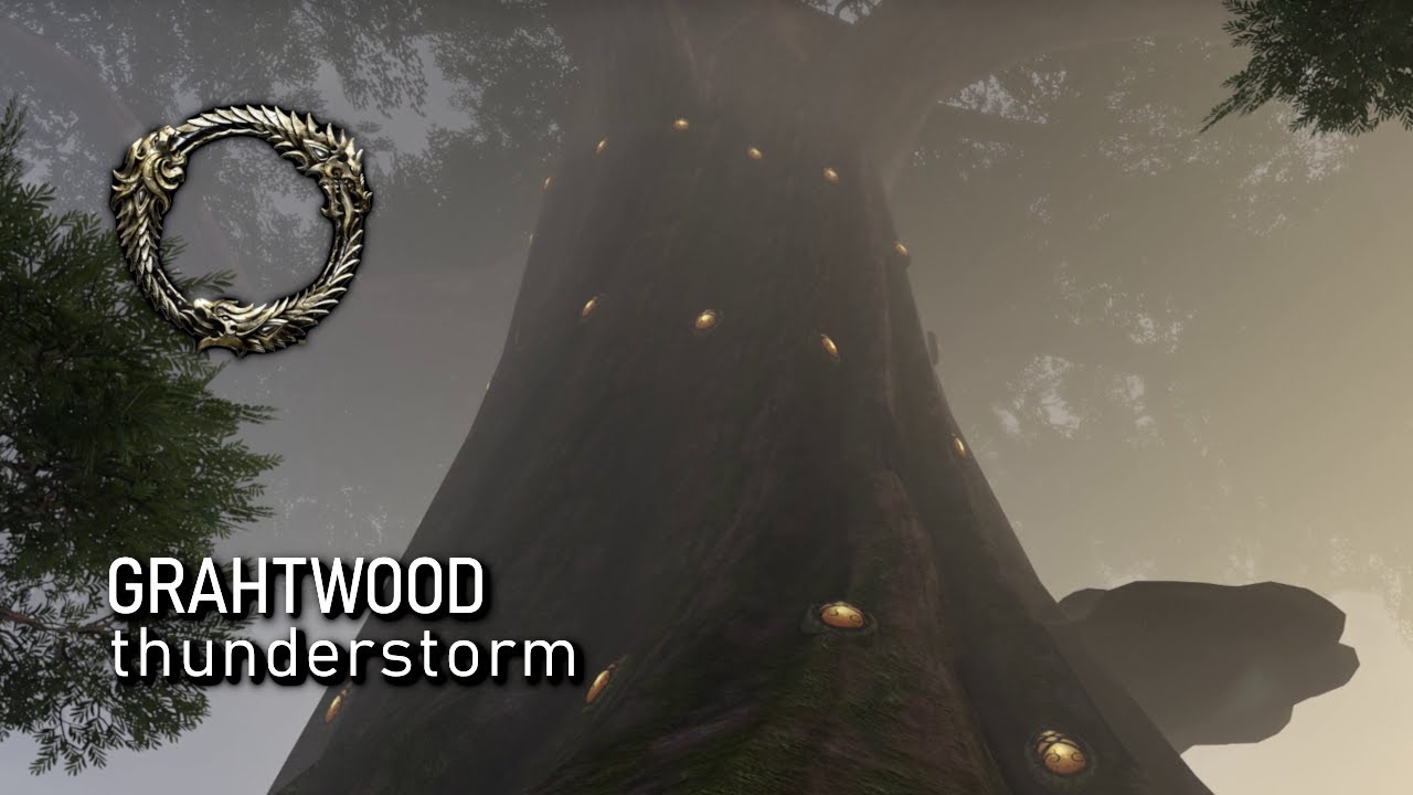 ESO - Thunderstorm in Grahtwood ~ Rain, birds, creaking trees. - YouTube