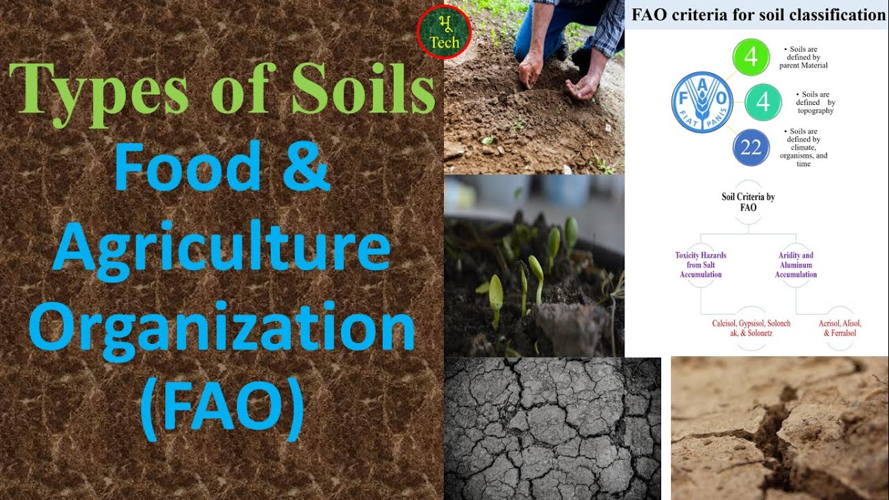 Classification of Soil, according to Food & Agricultural Organization ...