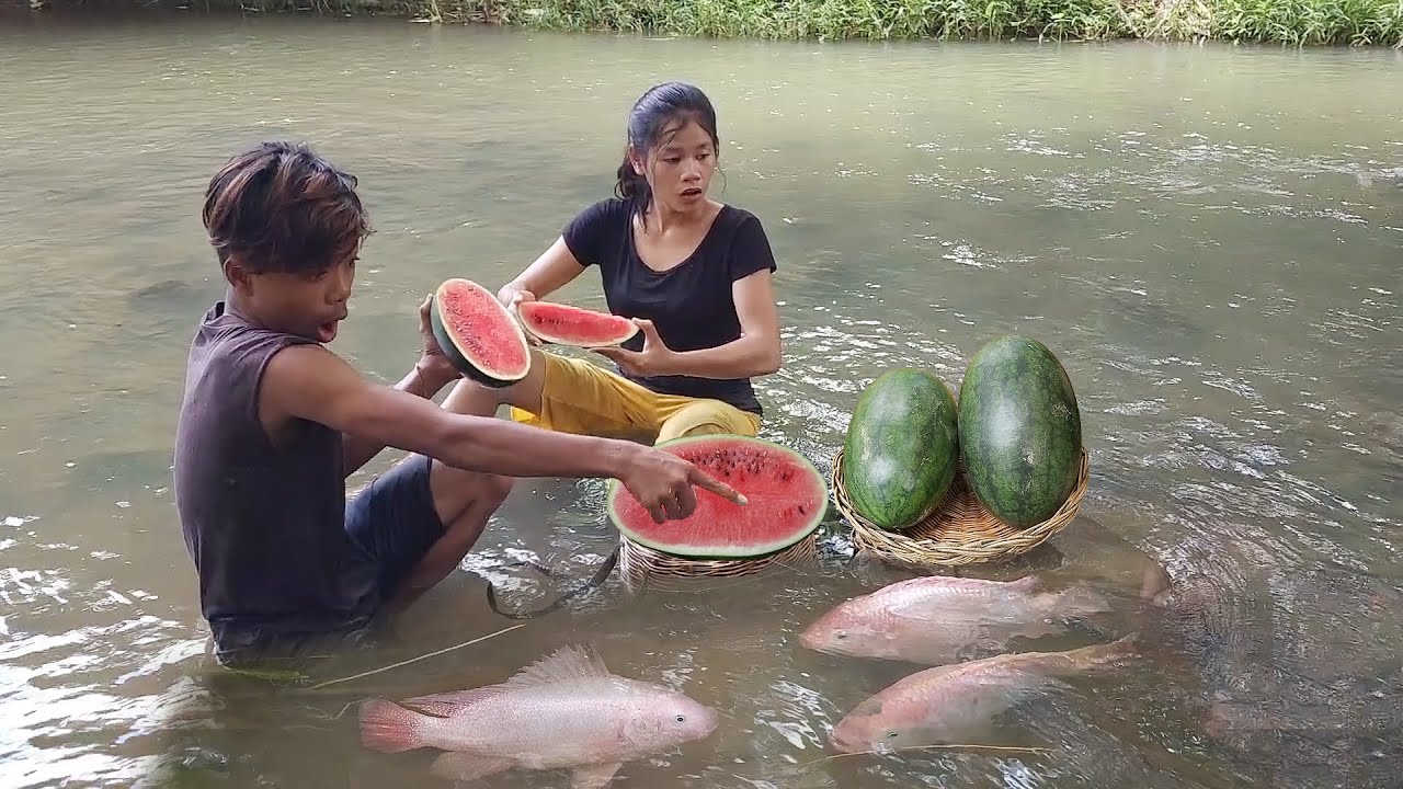 Survival in the rainforest, Catch redfish in the river for food, Fish ...