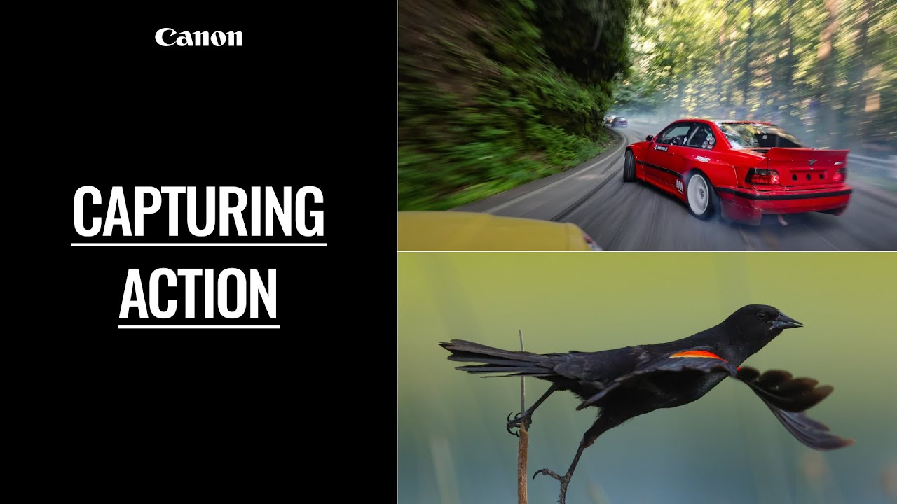 Action Shots with Canon: Photo & Video Tips - YouTube