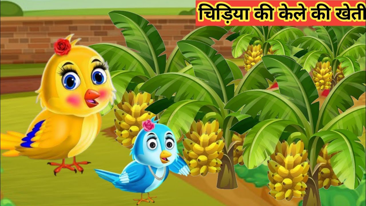चिड़िया की केले की खेती | cartoon chidiya wala | cartoon Hindi | tuni ...