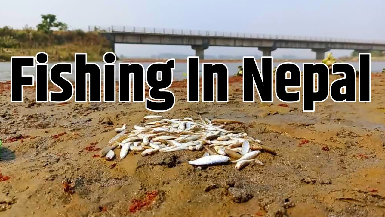 Beautiful Way Of Fishing In A Nepali Village | - YouTube