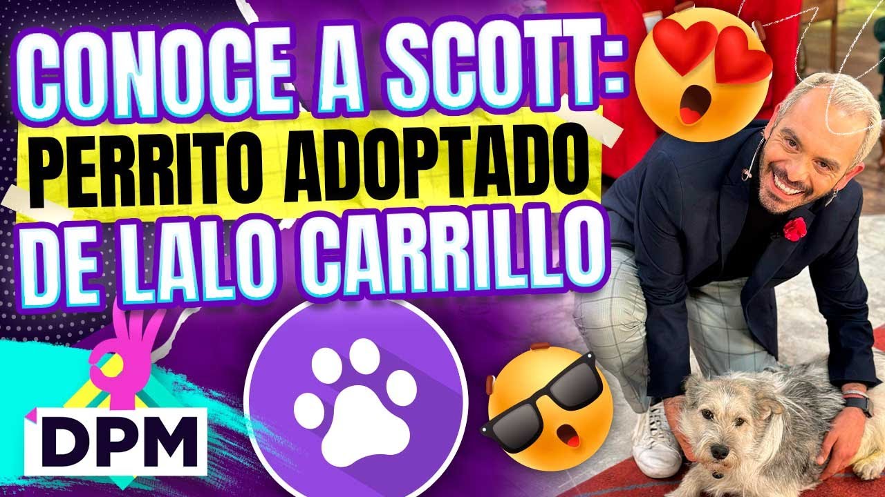 EN VIVO Lalo Carrillo nos cuenta el proceso de adopción de su perrito ...