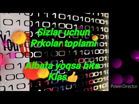 Sizlar uchun Prkolar top 10 taligi