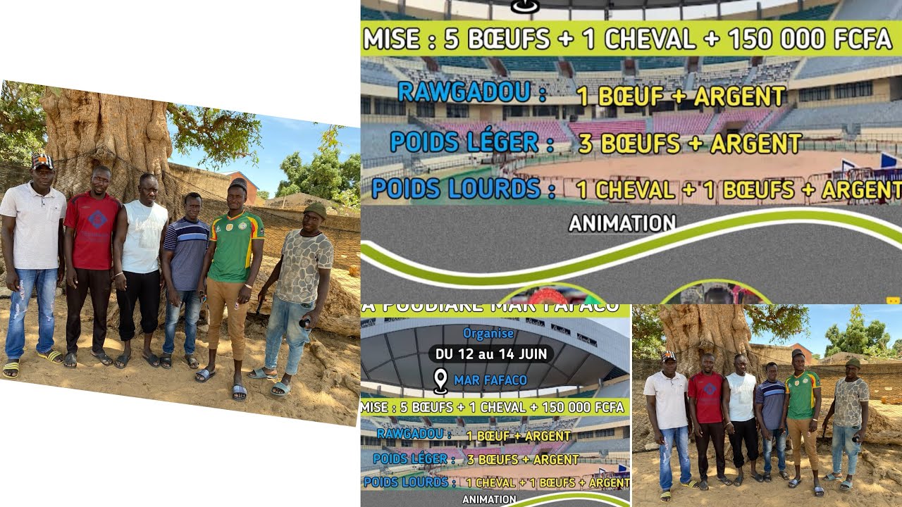 Installation Lamb Marfafaco du 12 au 14 juin 2025 organisé par A ...