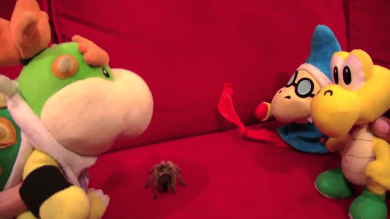 SML - The Tarantula Reaction - YouTube