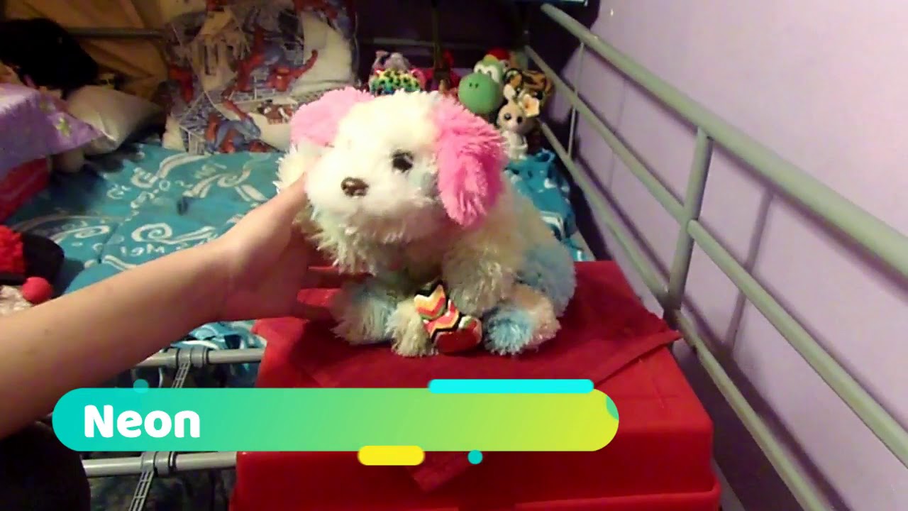 Meet Neon! /friend notes - YouTube