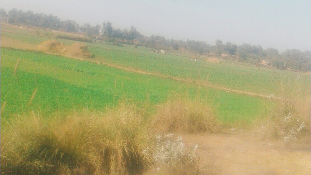 My village.My village life style. My village Volg. new Volg. Zain ...