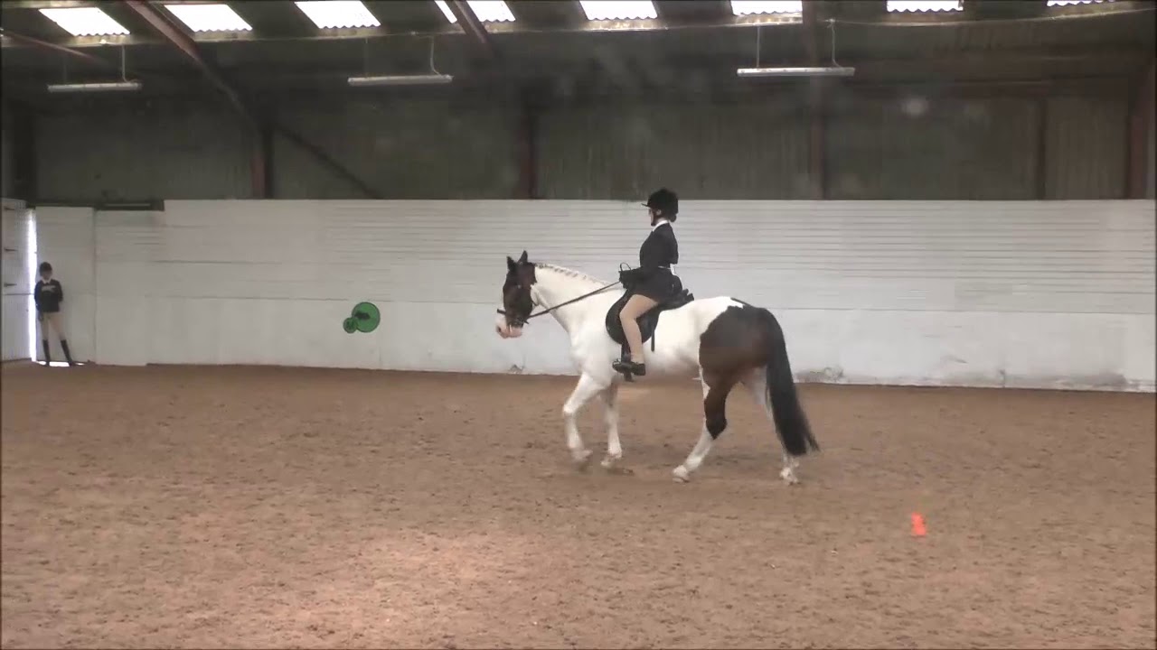 Rafferty at the Regional RDA Competition at Milton 2019 - YouTube