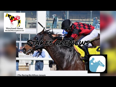 Howard and Sondra Bender Memorial Stakes preview - YouTube