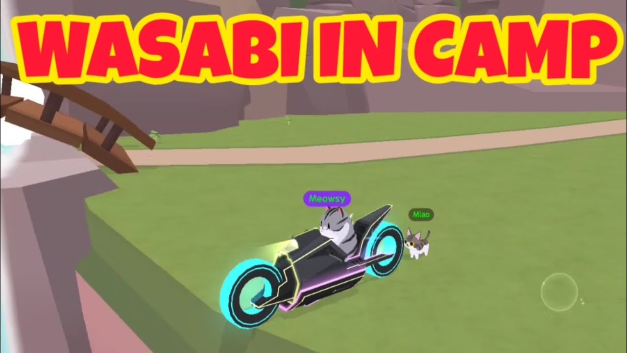 Wasabi in Camp | Play Together - YouTube