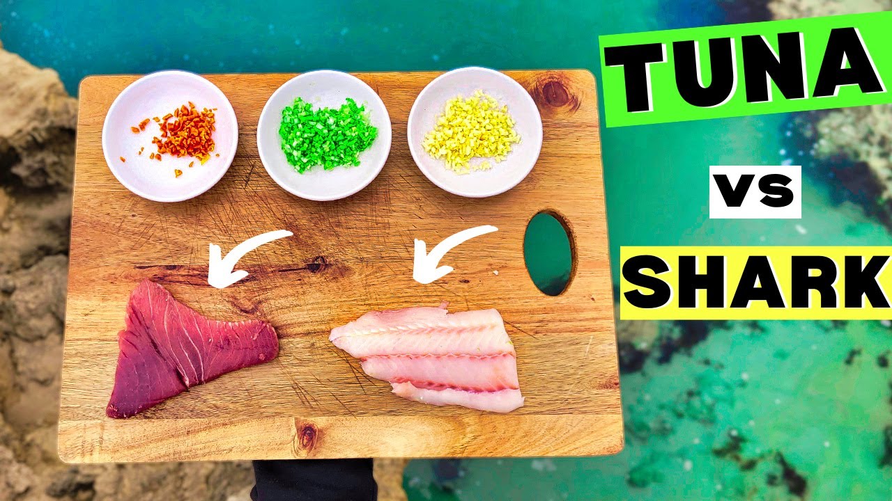SHARK vs TUNA! Who will win this CATCH & COOK? 🔥🔥 - YouTube