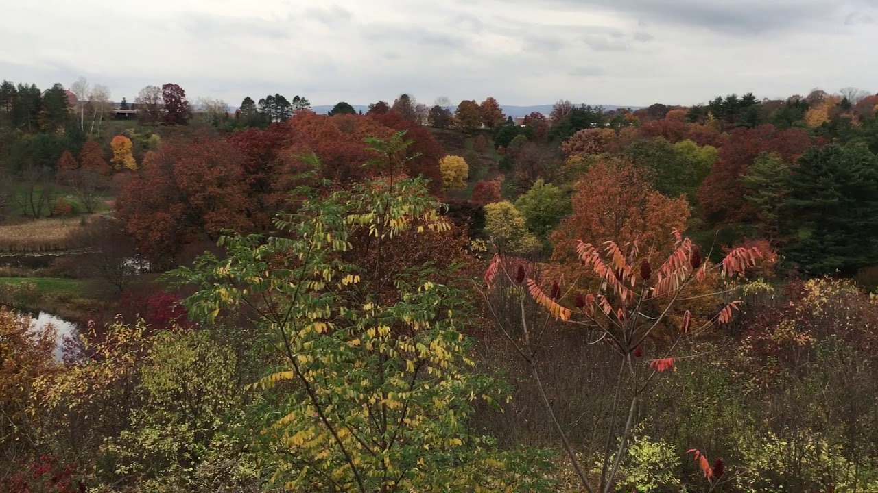 Newman Overlook at Cornell Botanic Gardens in Late Fall - YouTube