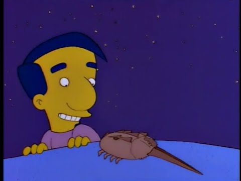 Nice doggy | Milhouse - YouTube
