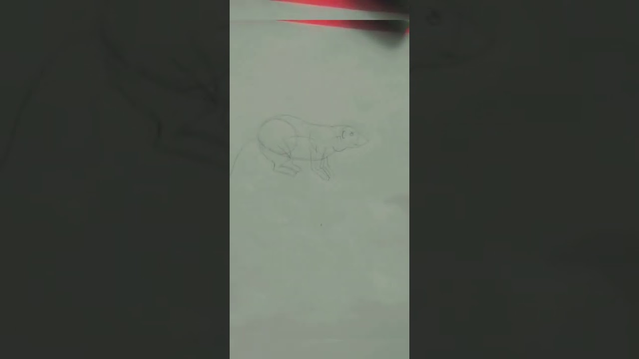 Animal Drawing / Part 3 /#Mongoose Drawing Easy# / How to draw a ...