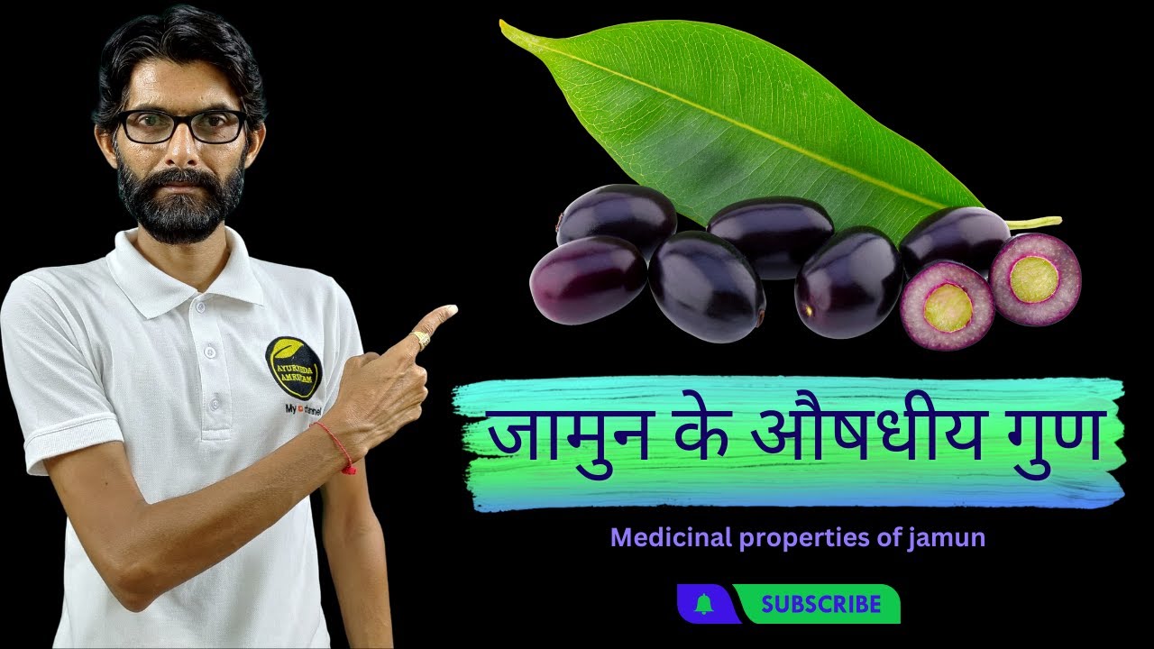 जामुन के औषधीय गुण | Medicinal properties of jamun | Ayurveda amrutam ...