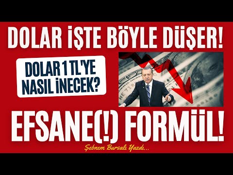 DOLAR 1 TL OLSUN MU?.. ŞEBNEM BURSALI ve MELİH ALTINOK YAZDI - MAKALE DİNLE