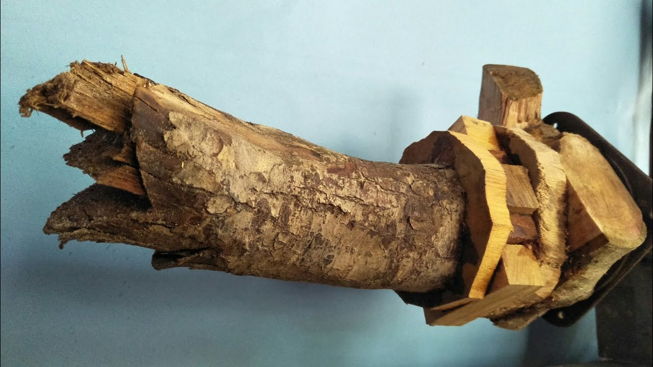 Saya merubah dahan dan ranting pohon ini menjadi vas bunga keren ...