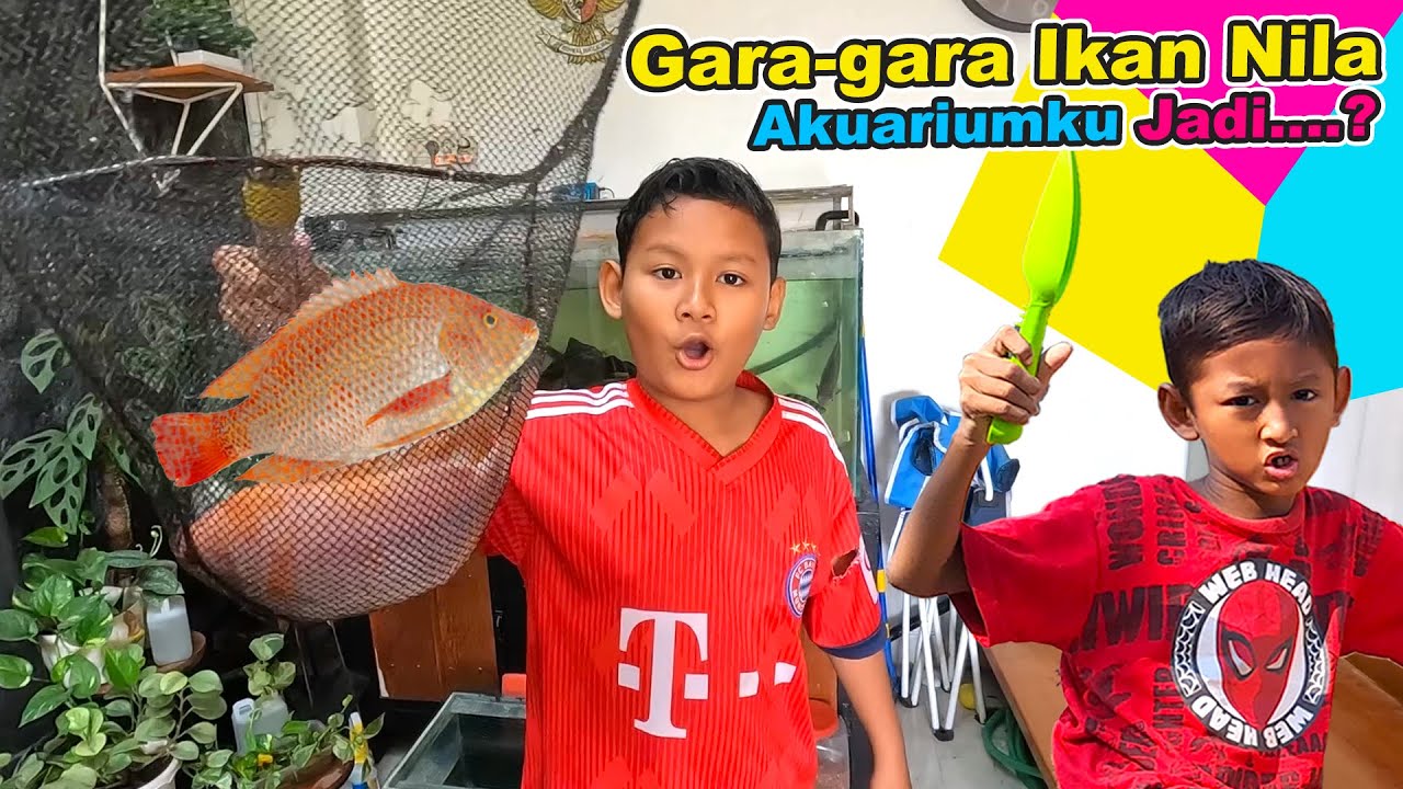 Gara Gara Ikan Nila Di Aquarium 😱 Praya Brother - YouTube