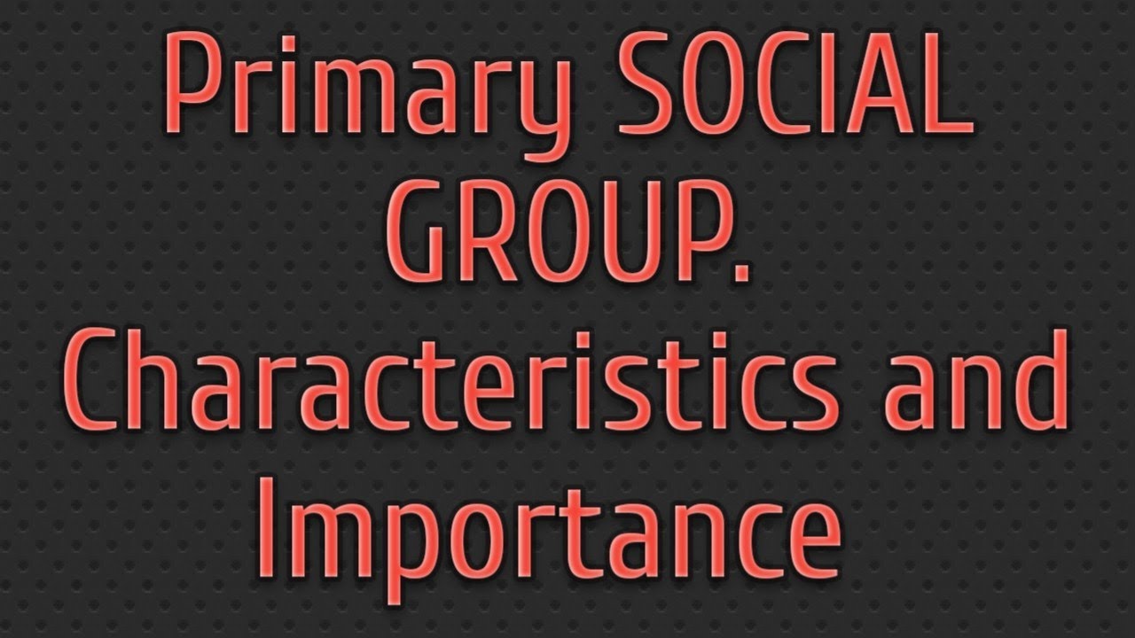 PRIMARY SOCIAL GROUP Characteristics AND Importance of group - YouTube