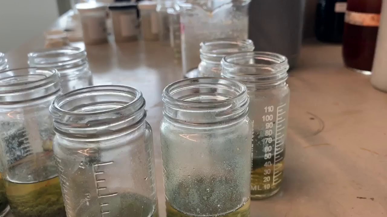 Wastewater Lab Testing for best RNR Treatment Blend - YouTube