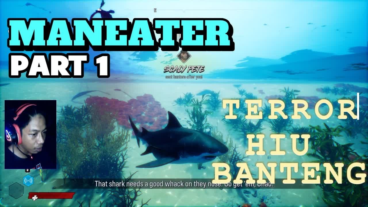 Maneater Gameplay - part 1: petualangan Baru Hiu Pemangsa Lautan, Apex ...