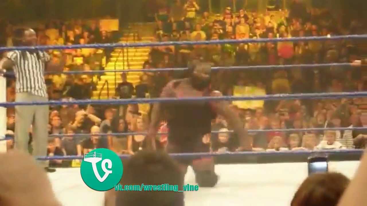 Mark Henry - Elephant (Vine) - YouTube