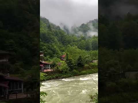 #karadeniz #türkiye #trend #yutube #nature #keşfetbeniöneçıkar #status #shortvideo