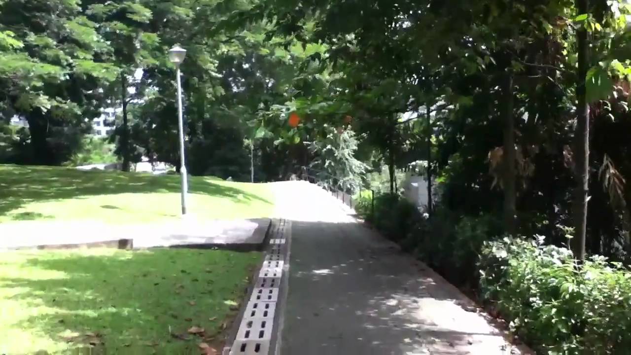 Walk Through Mount Emily Park, Singapore - YouTube