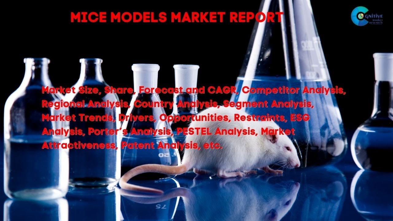 Mice Models Market Report 2024 - YouTube