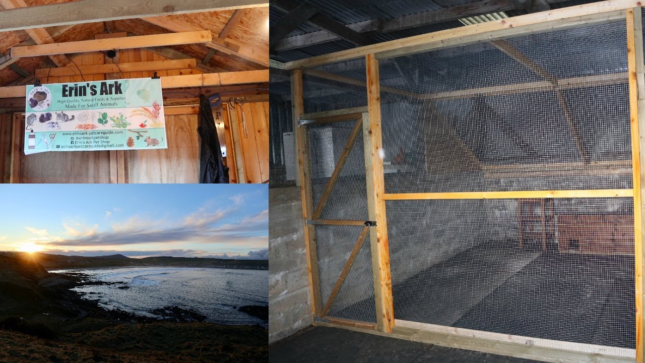 Work, Beach & New Rabbit Aviary! - YouTube