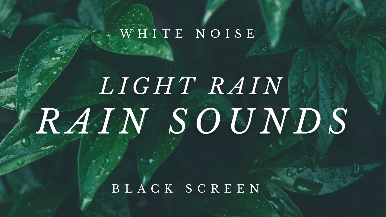 Light Rain Sounds 10 Hours Black Screen White Noise Sleep Write