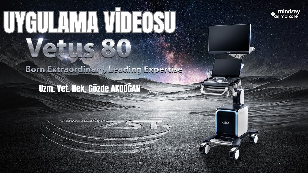 Mindray Vetus 80 Uygulama Videosu - YouTube